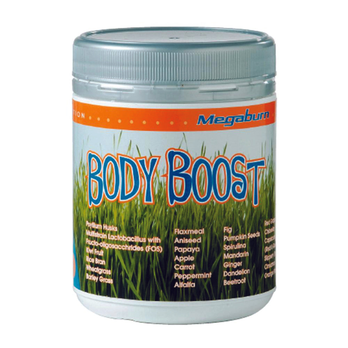 MegaBurn Body Boost 240g